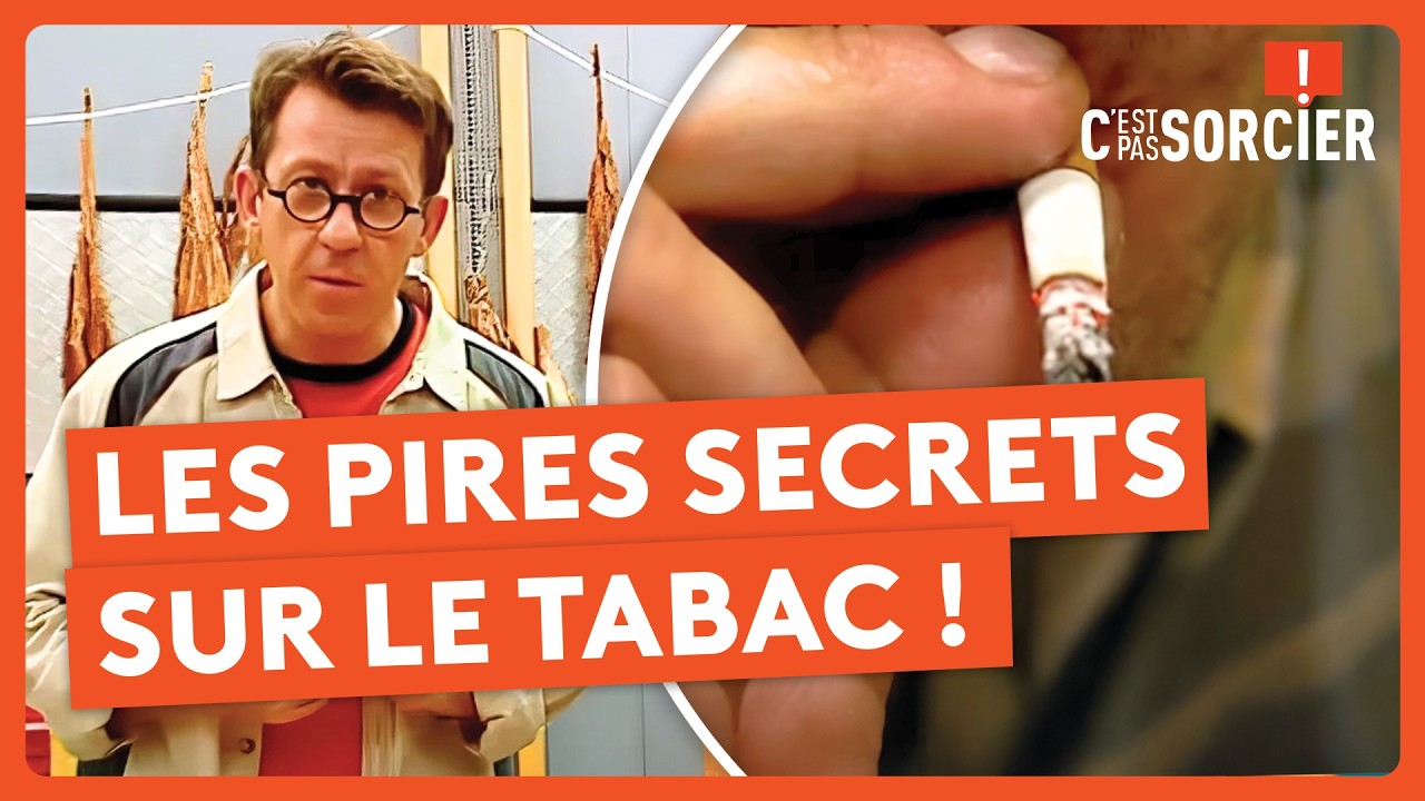 Les pires secrets sur le tabac ! (Journée mondiale) - C'est pas sorcier