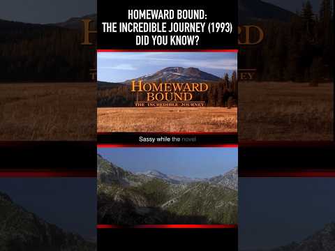 Did you know THIS about the origins of HOMEWARD BOUND: THE INCREDIBLE JOURNEY (1993)?