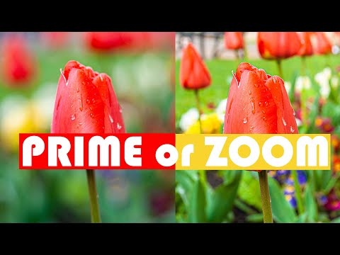 Are PRIME Lenses really better than ZOOMS?