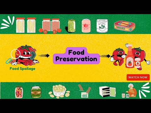 Food Preservation | 5 Food Preservation Methods You Should Know | Techno Food