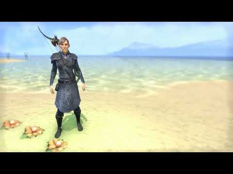 ESO Fashion | Token of Root Sunder (Elder Scrolls Online)