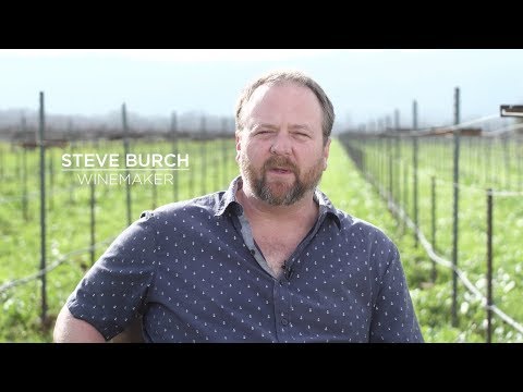 Steve Burch - Winemaker