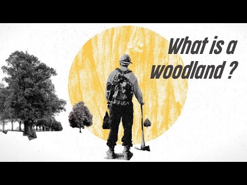 What is a Woodland ?