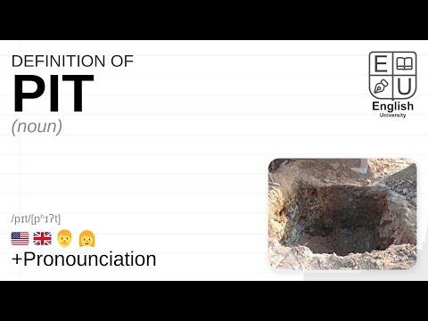 PIT meaning, definition & pronunciation | What is PIT? | How to say PIT