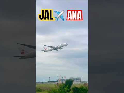 Japan Airlines ✈️All Nippon Airways ✈️🇯🇵#aviation#japan#airplane#airport#shorts