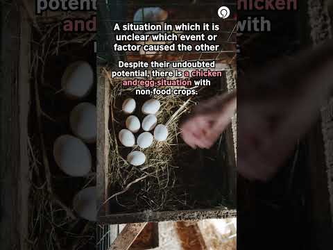 The Chicken and Egg Situation: Unraveling the Mystery | Master with ESOL