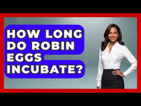 How Long Do Robin Eggs Incubate? - Bird Watching Diaries