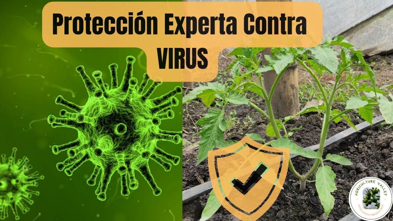 Cómo combatir los VIRUS en HORTALIZAS - Métodos