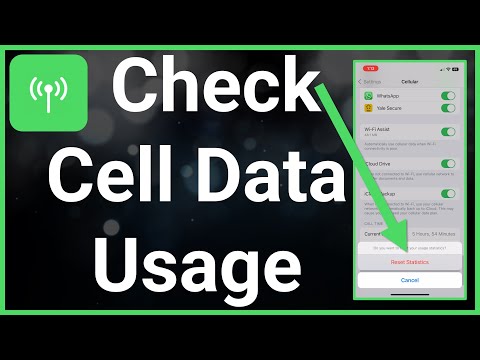 How To Check Cellular Data Usage On iPhone