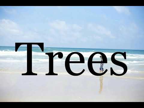How To Pronounce Trees🌈🌈🌈🌈🌈🌈Pronunciation Of Trees