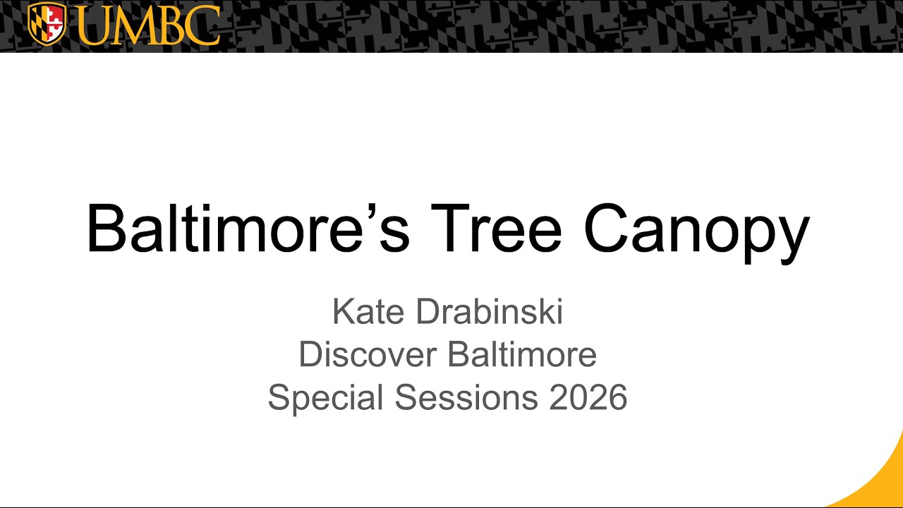 Baltimore's Tree Canopy