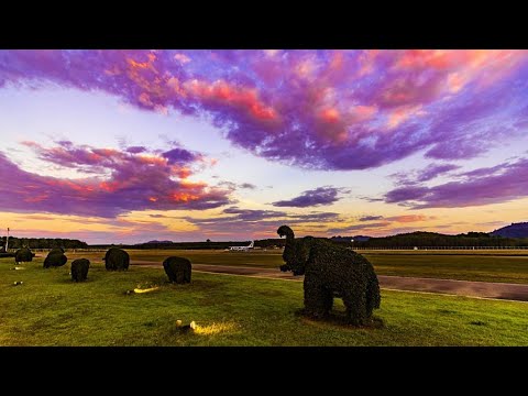 🇹🇭 The Smallest Airport in Thailand - Trat Airport | FoFaFiFl