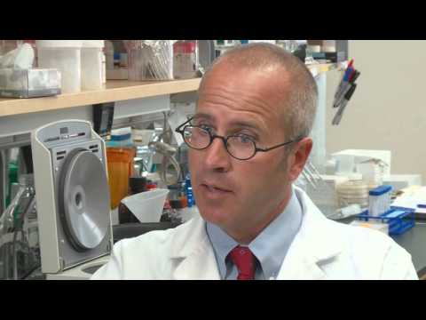 Antibiotics - From Discovery to Therapy