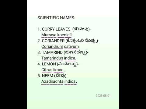Scientific names of daily needs # Curry leaves#Coriander #Tamarind#Lemon #Neem.