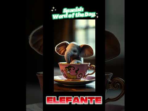 Spanish Word of the Day - Elefante - Elephant