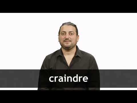 English Translation of “CRAINDRE” | Collins French-English Dictionary