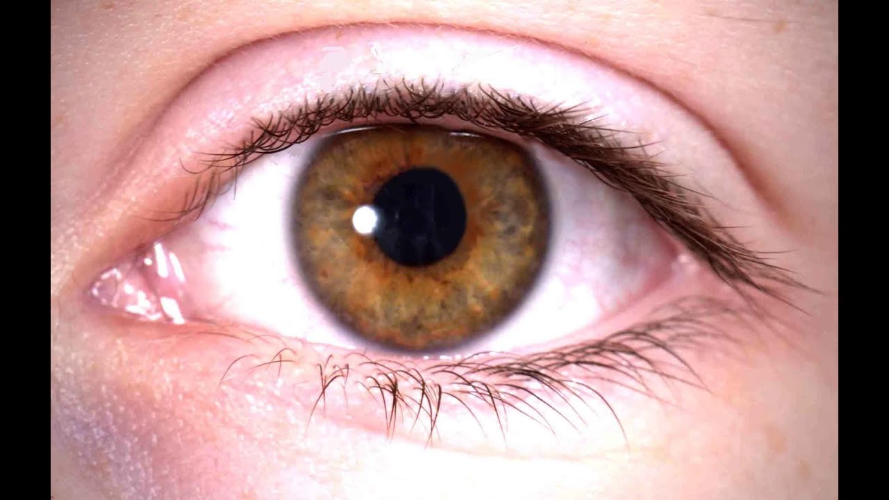 Stem Cells Restore Man's Vision