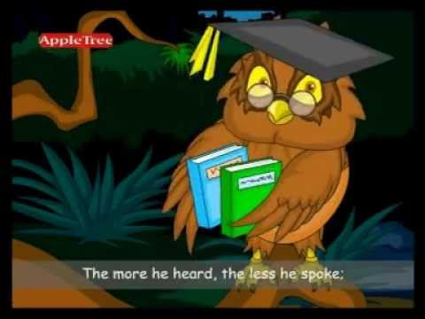 A wise old owl