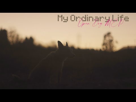 "My Ordinary Life" OPEN DOG MEP (6/14 taken)