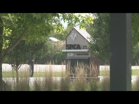 SPCA changes to veterinary clinic in Erie County