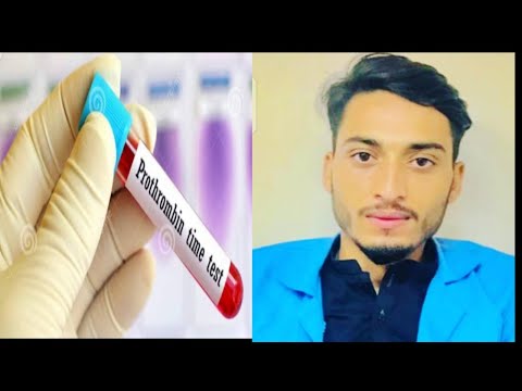 PT test and INR
