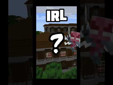 MC vs IRL: Vex (Part 2) #Minecraft#Minecraftanimation#shorts