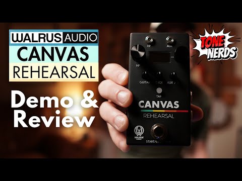 Is the Walrus Audio Canvas Rehearsal Worth The Hype?