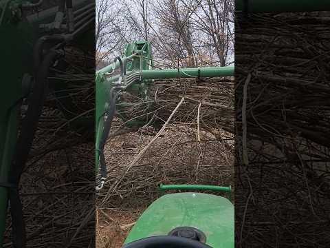 Brush Crusher at Work! Westendorf BC4200 on a John Deere 2305. #johndeere