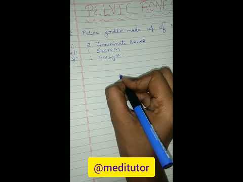 Bones Of The Pelvic Girdle|Pelvic Bones #aiims #obgy #meditutor