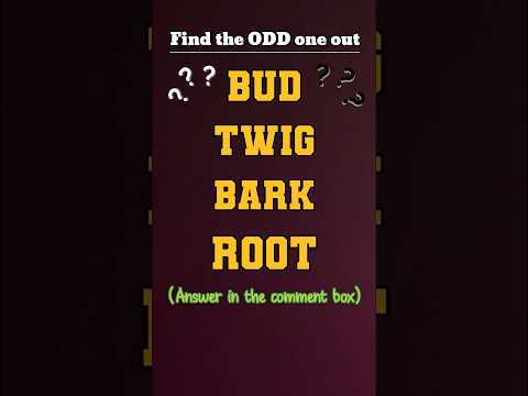 Find the ODD one out | Test your Knowledge in English Vocabulary #learnvocabularywithfun #shorts