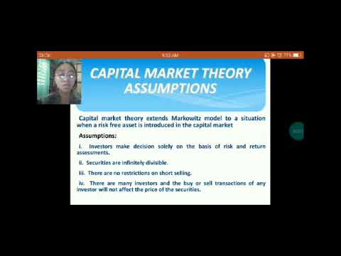 capital market theory