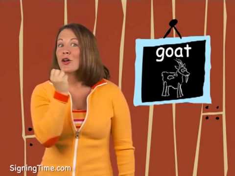 goat