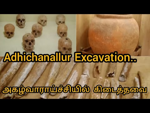 adhichanallur ; artifacts tamil ஆதிச்சநல்லூர் ;அகழ்வாரய்ச்சி - museum vlog
