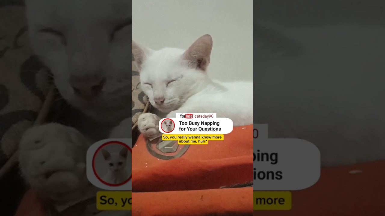 Backyard Boss, Full-Time Sleeper