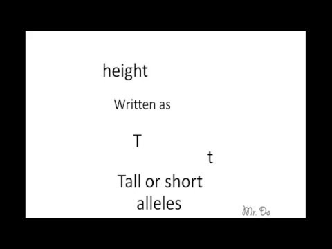 genetics quick vocabulary