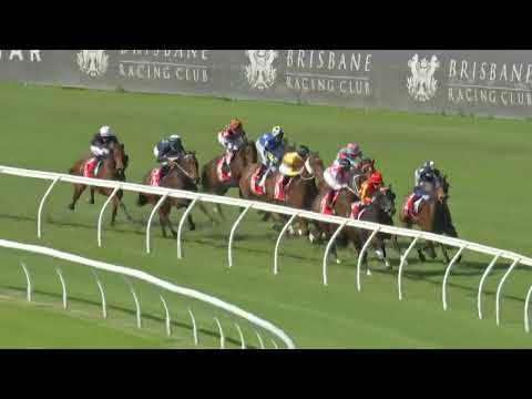 The Wayne Wilson 2025 - PIER (3YO+ WFA LR) Listed Eagle Farm 14 June