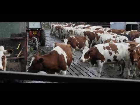 Ben's Growing Business - How NFU Mutual are helping farmers to diversify