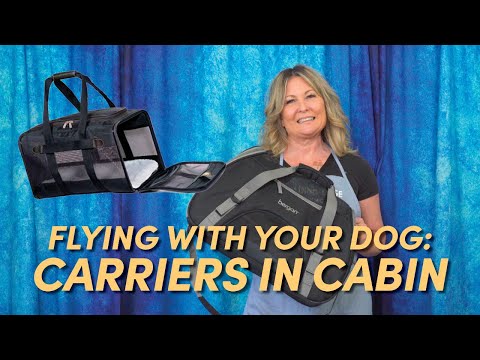 In-Cabin Carriers: Airline Edition | Dog Grooming & Handling Equipment Series