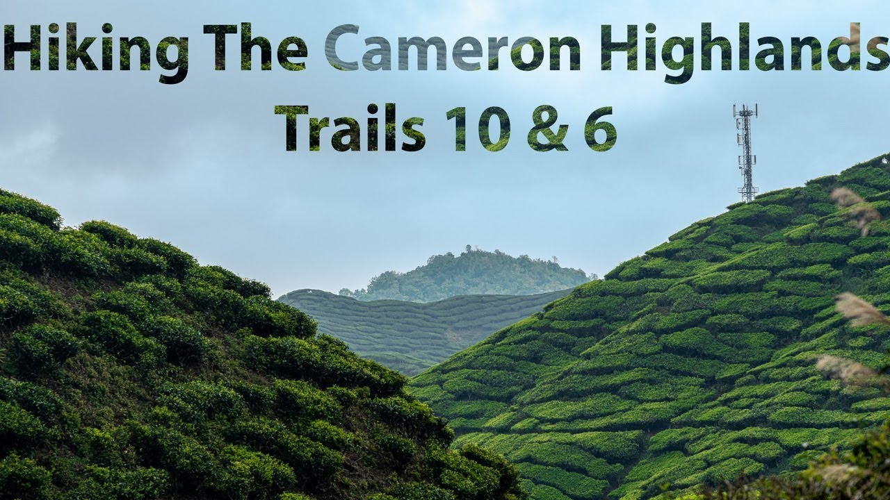 Cameron Highlands (Tanah Rata) – Trail 10 & Trail 6 Hiking Guide