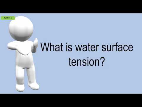 What Is Water Surface Tension?