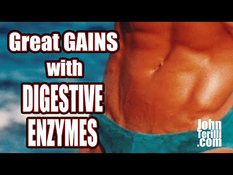 Digestive Enzymes - Bodybuilding Supplements for Beginners and Pros