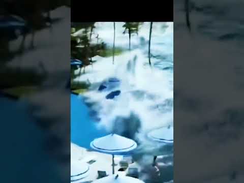 Tsunami 2004 ðŸ˜ðŸ˜-- Indonesia