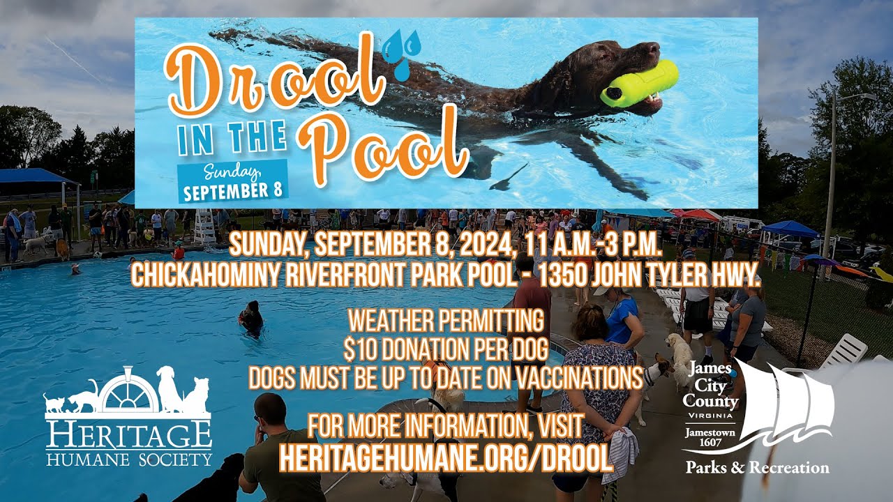 Drool in the Pool 2024