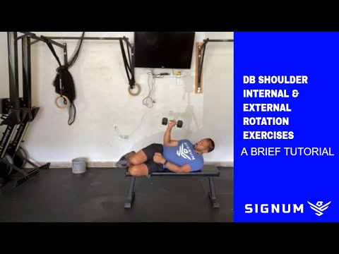 Dumbbell Shoulder Internal Rotation (on bench) | myworkouts.io