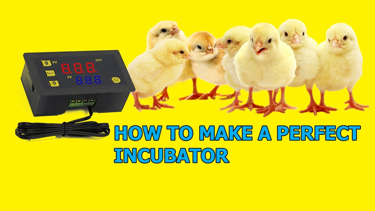 How to program W3230 temperature controller for incubator