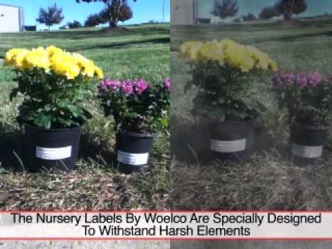 Woelco Labeling Solutions Nursery label