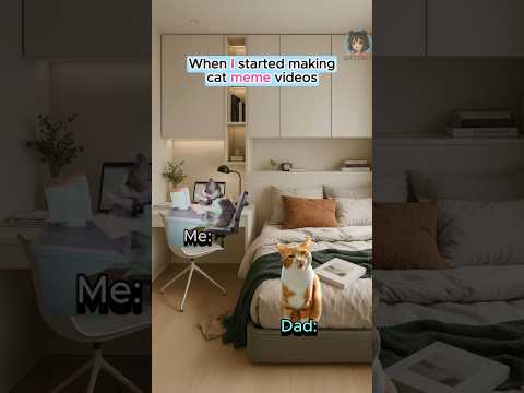 Cat mEMes 😺 - When I started making meme videos #shorts #genz #catmemes #relatable #funny #cat