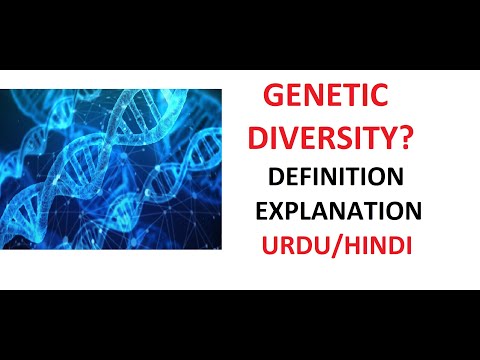 What is Genetic Diversity? | Examples | Importance | Uses | Urdu/Hindi
