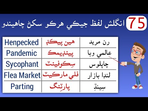 75 Difficult English to Sindhi Vocabulary Words for Everyone | English in Sindhi