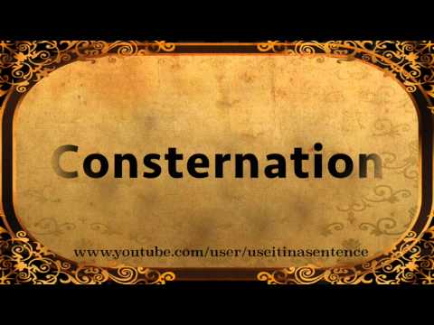 Use Consternation in a Sentence